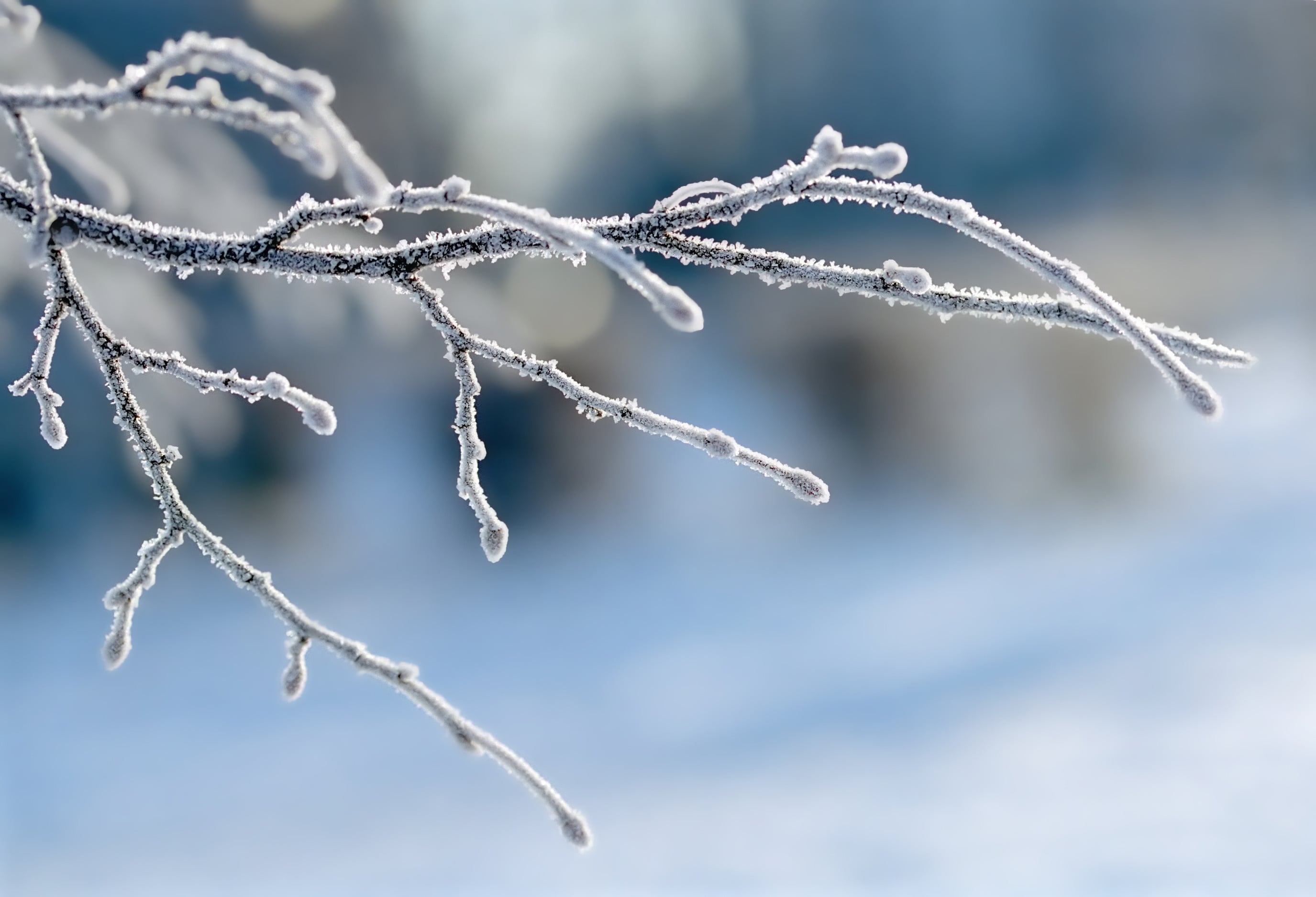 Condensation and frosting in rotary heat exchangers